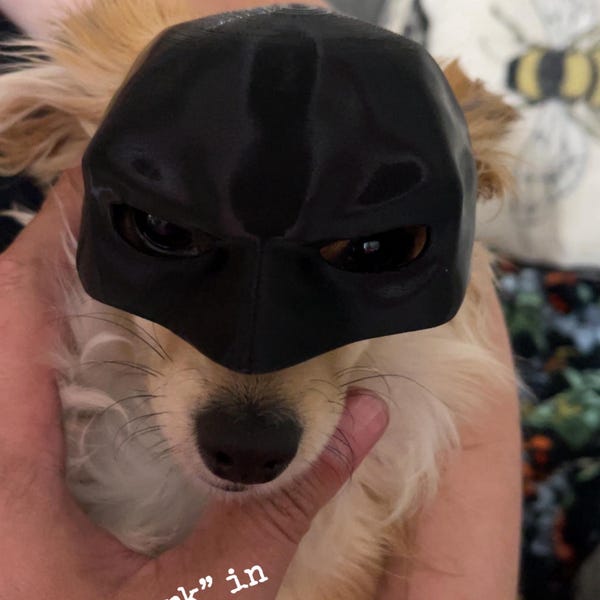 Personalized Baseball Caddy 3D Printed - Etsy