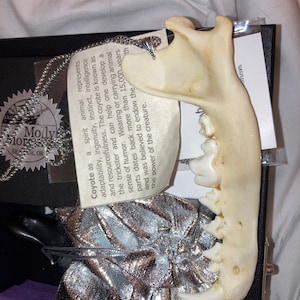 8 Horse Hair Scalp Locks Black or White Native Crafts - Etsy