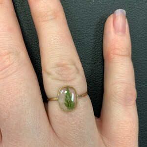 Fern Ring, Plant Ring, Botanical Ring, Pressed Fern Ring, Gold Fern ...