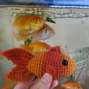 PATTERN PACK 7 Aquarium Fish Patterns Angelfish, Betta, Blue Tang ...