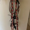 Custom Neck Rope Liberty Neck Rope, Bridleless Neck Rope, Clinician ...