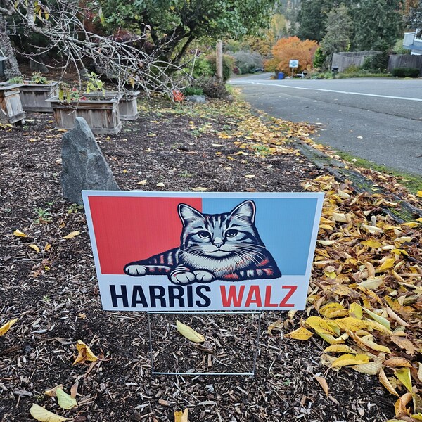 Jesus Christ 24 Only Jesus Can Save This Nation Sticker Vinyl Decal ...