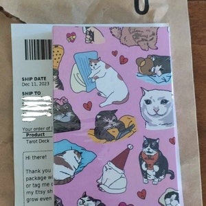 Birthday Blessing From the Pope Cat Meme, Croc Cat Meme, Funny Birthday ...