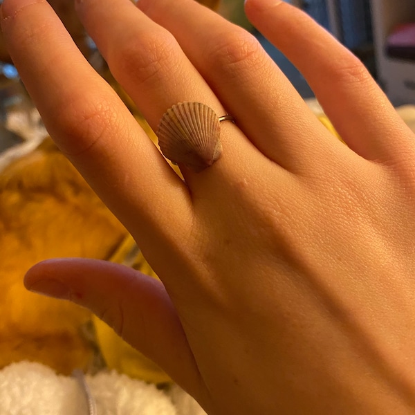 Limpet Necklaces, Limpet Jewelry, Beach Necklace, Seashell Necklace ...