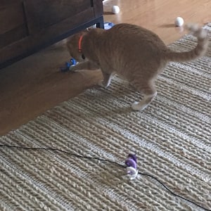 Three Candy-coated Popcorn Cat Toys Filled With Organic Catnip - Etsy