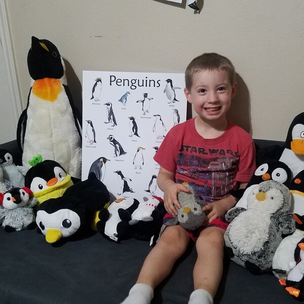 Rabbit Vector Files, Rabbit Illustration, Drawing, SVG File, Eastern ...