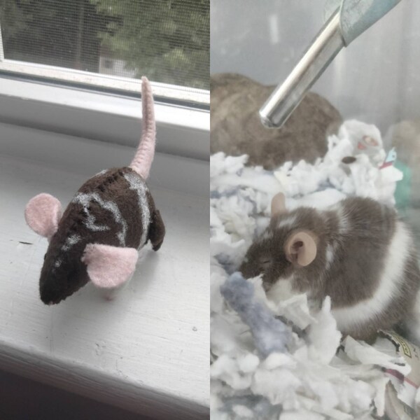 Custom Pet Mice - Etsy