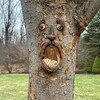 Tree Faces Garden Decor tree Hugger Bird Feeder Yard Art Gift for Dad ...