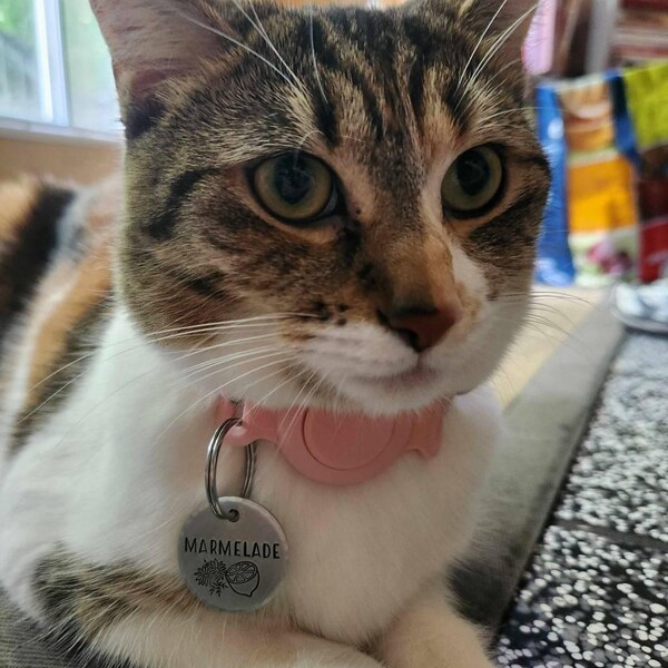 Cemetery Dog Tag - Ghost Dog Tag - Halloween Dog Tag - Crow - Raven ...