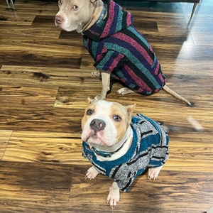 Baja Dog Poncho SIZE 3-mexican Dog Hoodie-mexican Poncho dog - Etsy