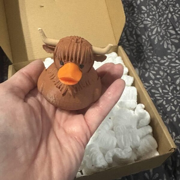 Medusa Duck: 3D Printed Jeep Dash Accessory - Etsy