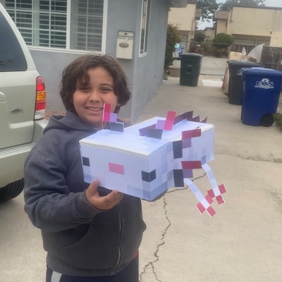 Minecraft Axolotl Valentine Box Cute Printable - Etsy