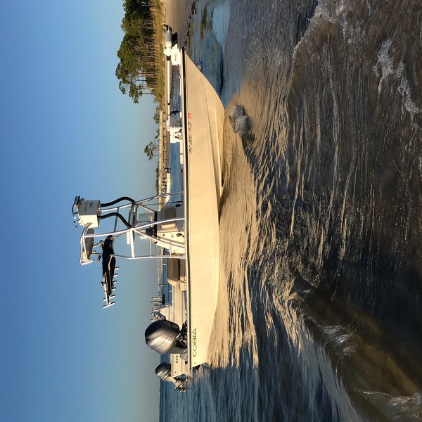 Seaark Boats Emblems 22" + FREE FAST Delivery DHL Express - Etsy