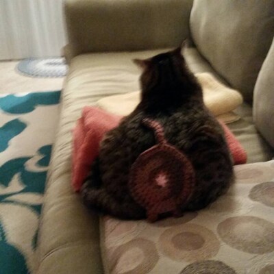 Cat Butt Ornament, Funny Cat Butt Gift, Funny Gift, Christmas Ornament, Handmade Ornament, Cat ...