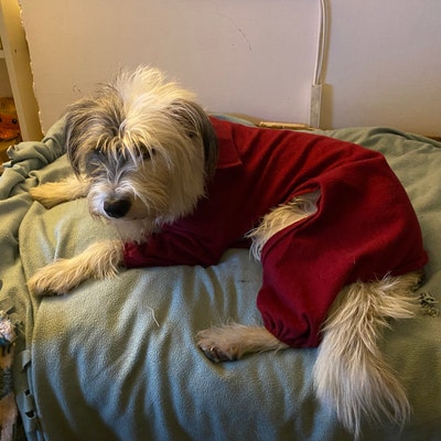 Dog Pajamas Sewing Pattern PDF Download Large Dog 3 Pack Large Dog ...