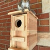 Dove Nesting Box, Large Nesting Box, Dove House - Etsy