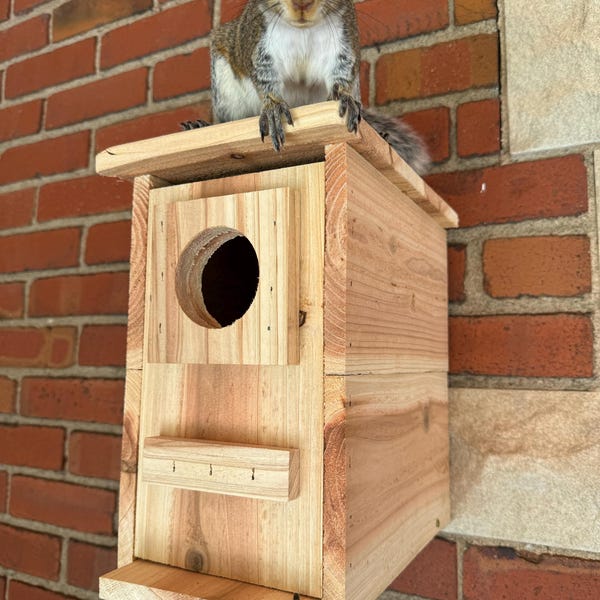 Dove Nesting Box, Large Nesting Box, Dove House - Etsy