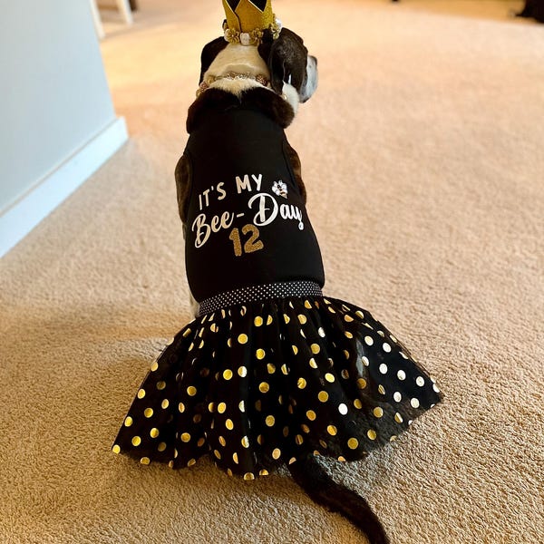 Terracotta Wedding Collar the Chauncy Rust and Burnt Orange Bridesmaid ...