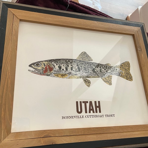 Colorado State Fish, Map Art, Nature Outdoor Art, Vintage Map Art, Art ...