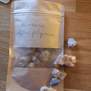 Manna fraxinus Ornus - Etsy