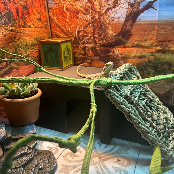 Reptile Slate Hide Real Stone Enclosure Reptile Decor Enrichment ...