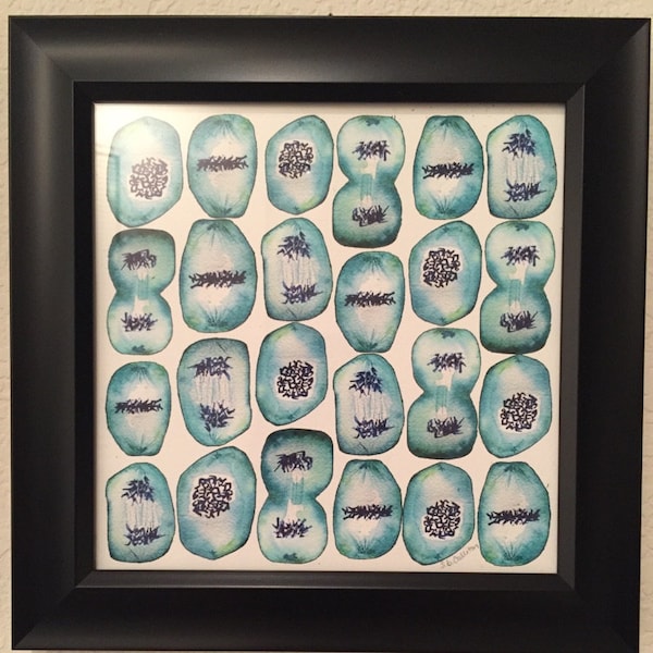 Mitosis, Watercolor Print, Science, Mitosis, Biology Art, Science Print ...