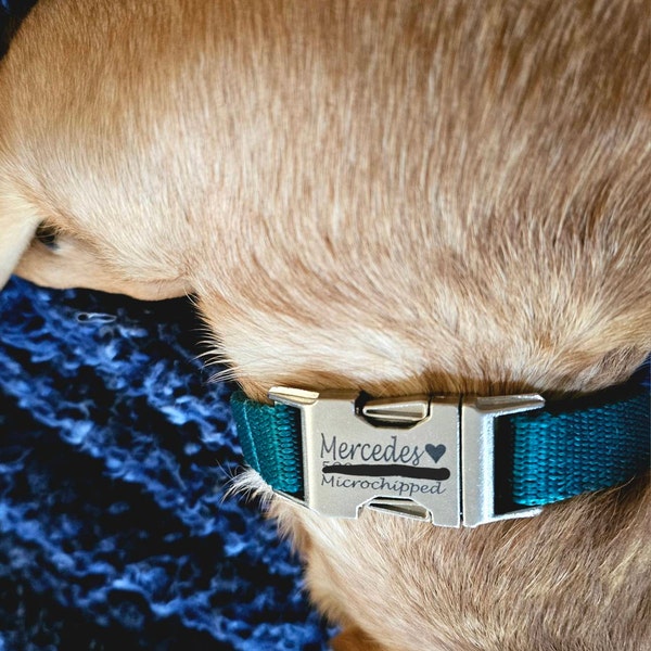 Personalized Dog Collar Laser Engraved Monogram Pet Id Tag Silver Gold ...