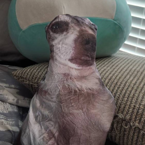 Ugly Pillow, Custom Ugly Pillow for Friend or Pet, Hot Ugly Cat, Pet ...