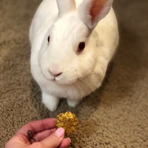 Fun delicious and above all else all-natural by KodaTheLittleBunny