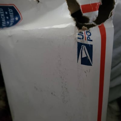 WISSMACH ENGLISH MUFFLE Stained Glass Pack Set/8 Assorted Colors 8x10 ...