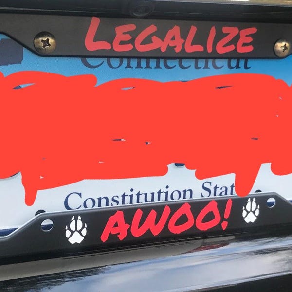 Orange Tabby Cat Boxer Briefs - Etsy