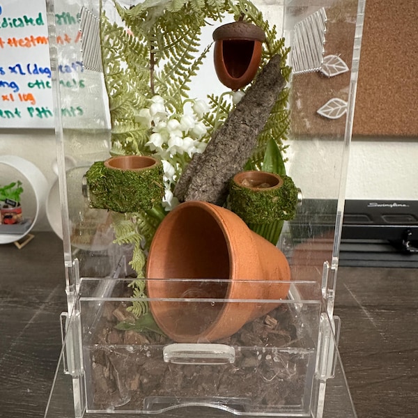 3D Printed Magnetic Acorn Spider Hide- Upgraded Sling Acorn Magnets! - Etsy