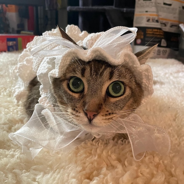 Cat Lady Bow Costume, Bonnets for Cats, Princess Dress for Pets ...