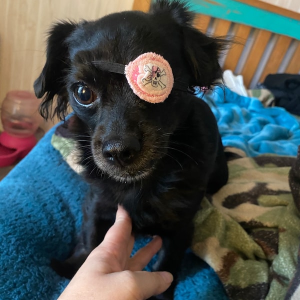 Cat Eye Patch Cotton Custom Designs Cotton Fabric NO Felt - Etsy