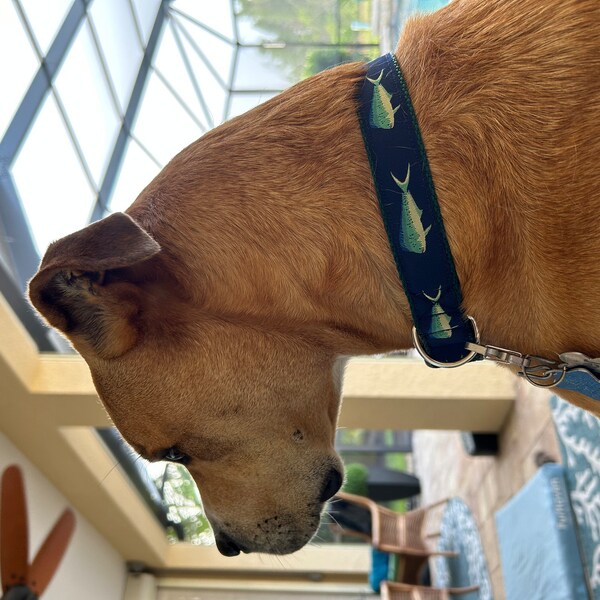 Labrador Key Fob/ Black Lab/golden Lab/ Lab Key Fob 6 and 3 Inch ...