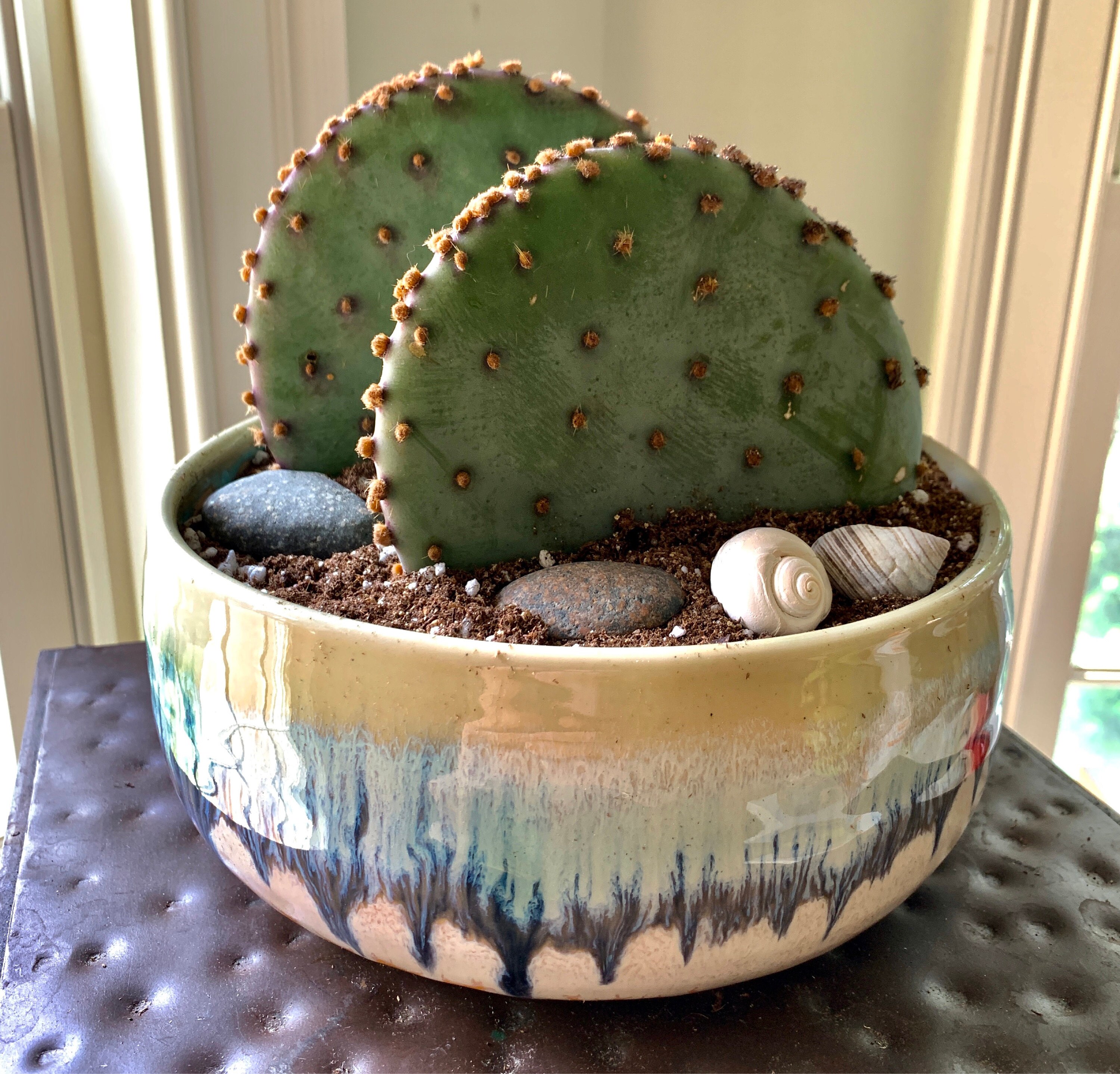 colorful planter, choose your favorite // large planter // succulent ...