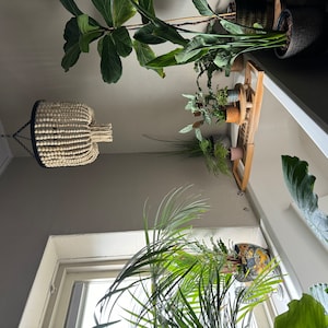 Round Rafia Rug, Woven Straw Natural Fiber Rug, Jute Rug, Hand Braided ...