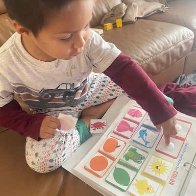 Toddler Busy Book Printable, First Learning Binder, Educational ...