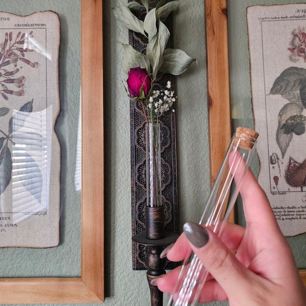 Ancient Fossilized Corax Shark Dinosaur Teeth - Shark Teeth Fossil ...