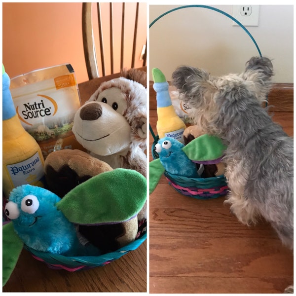 Custom Dog/cat Gift Baskets for Any and All Occasions! - Etsy