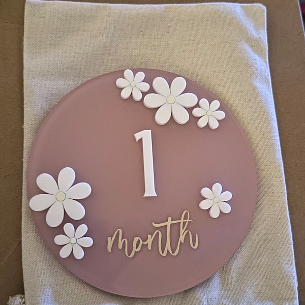Acrylic Baby Milestone Marker, Baby Milestone Discs, Interchangeable ...