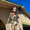 12 Skeleton Santa Hat & Scarf red skeleton NOT Included - Etsy