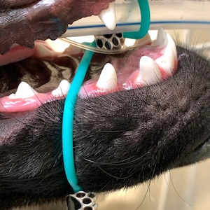 Endotracheal Tube Ties - Etsy