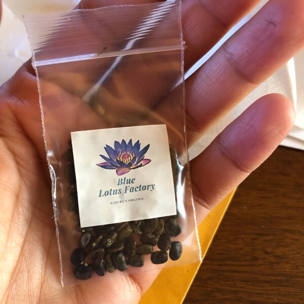 30 Blue Butterfly Bunch Pea Organic Seeds, Makes a Color Changing ...