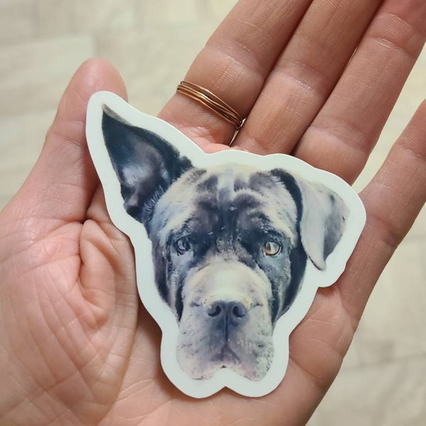 Custom Pet Portraits, Personalized Digital Dog Portraits, Cat Portraits ...