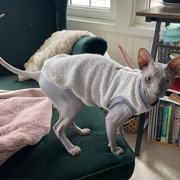 Cat Hoodie With Sleeve, Style Pets Squash Orange Cat, Feline Fashion, Pet Lover Gift, Sphynx Cat ...