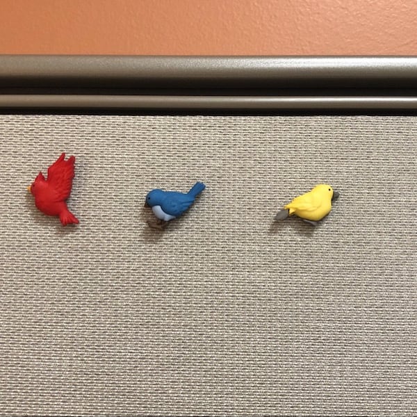 Bird Push Pins,bird Lover Gift,thumbtacks,bird Gifts for Mom,pushpins ...