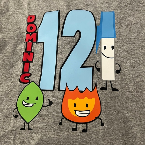 Youth Sized BFDI Birthday Shirt - Name and Age Can Be Customized ...