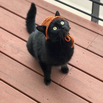 Alien Cat Costume Toy Story Alien Cat Hat Crochet UFO Cat - Etsy