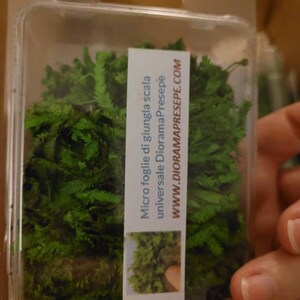 Super Realistic Model Trees / Bush Armatures for All Stairs - Etsy